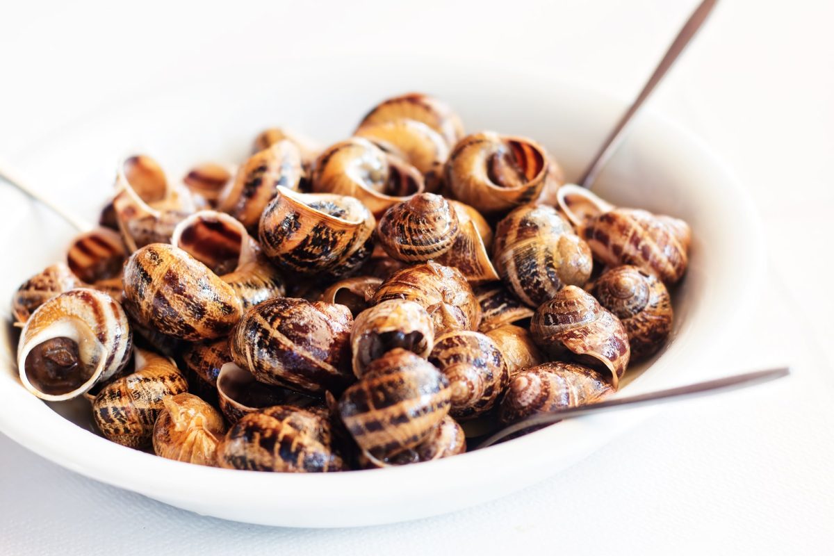 Best Food you should eat in Greece during your family trip